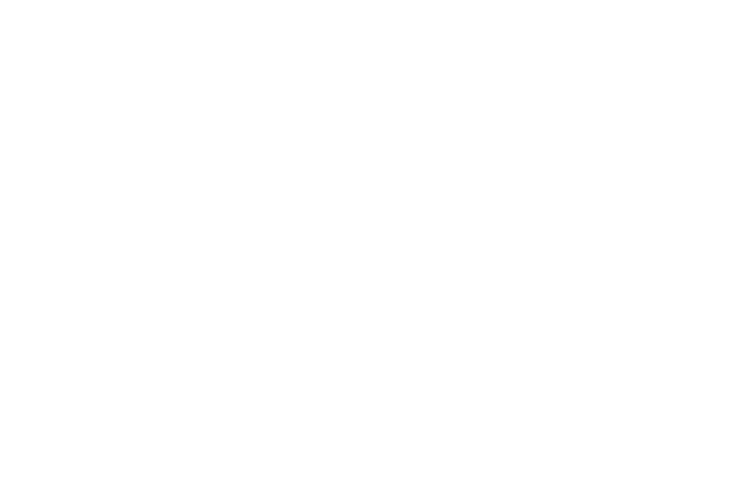 AM 1000 Cut and strip machine