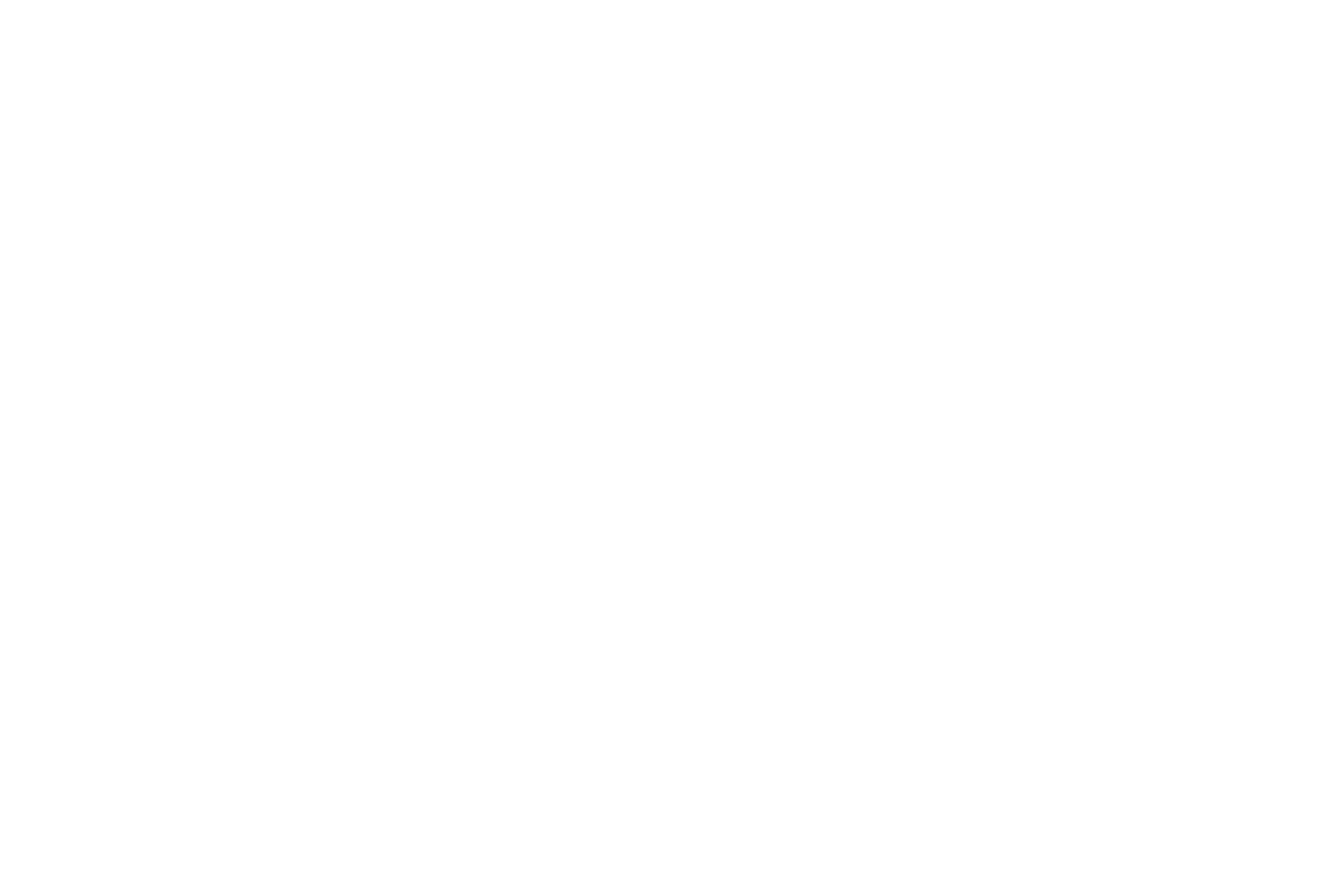 Automatic universal cutting machine Metzner VARIOCUT