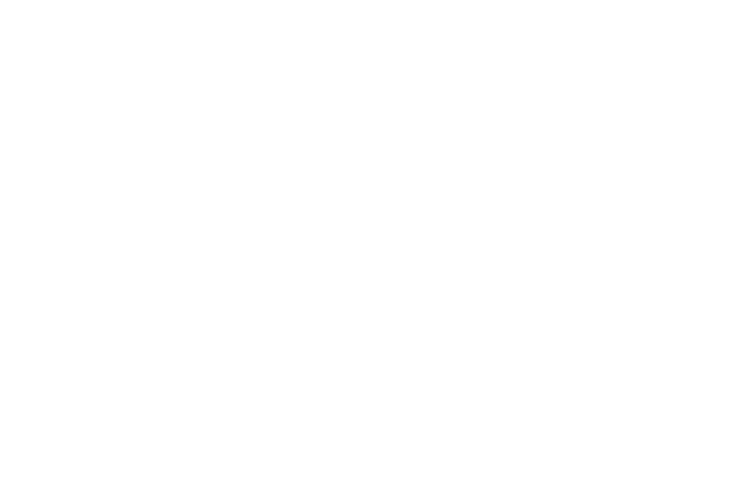 Automatic universal cutting machine Metzner VARIOCUT